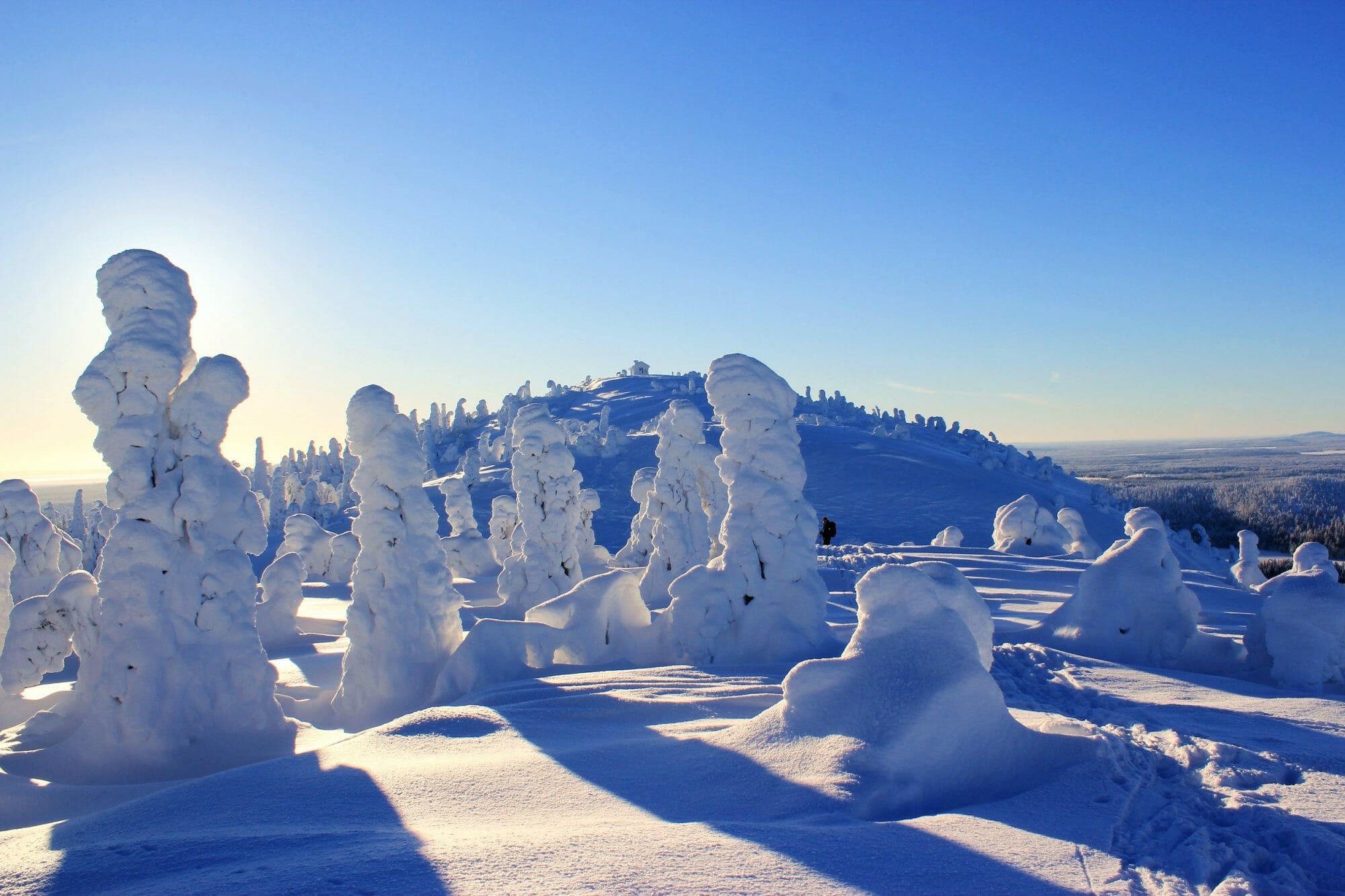 The Original Winter Wonderland - InTheSnow