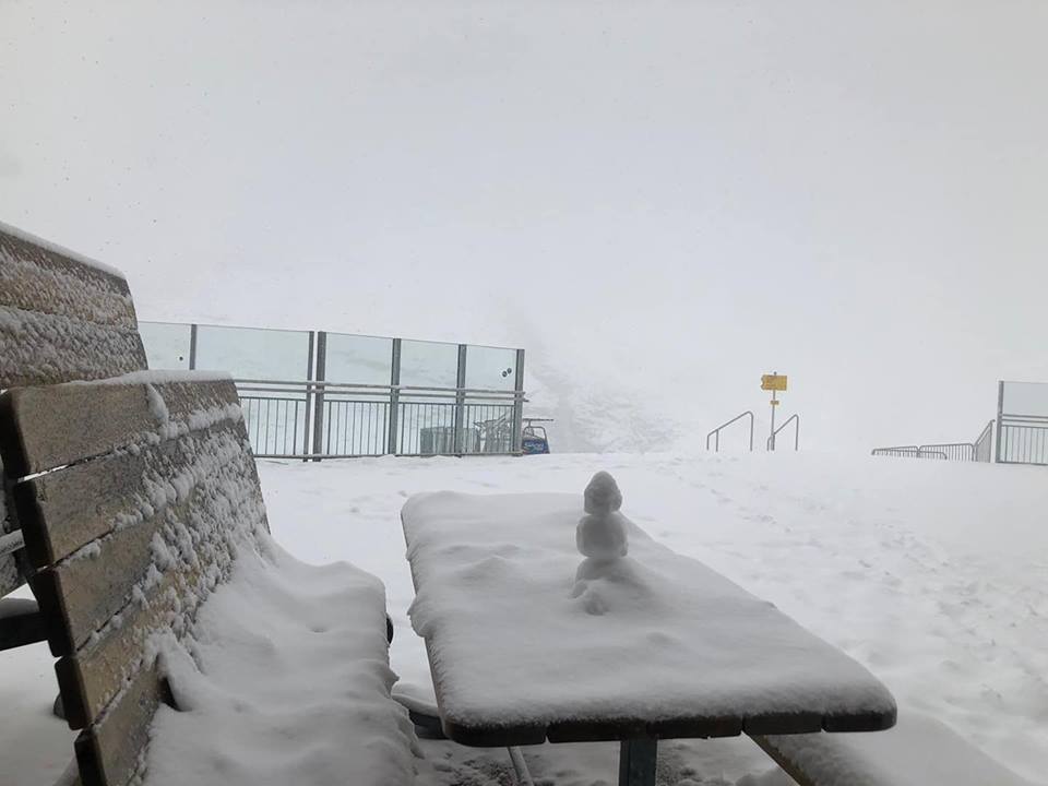 Powder Snow Day Today in the Alps - InTheSnow