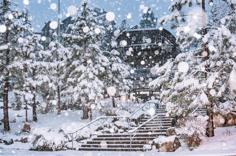 Fresh Mid-May Snow in California - InTheSnow