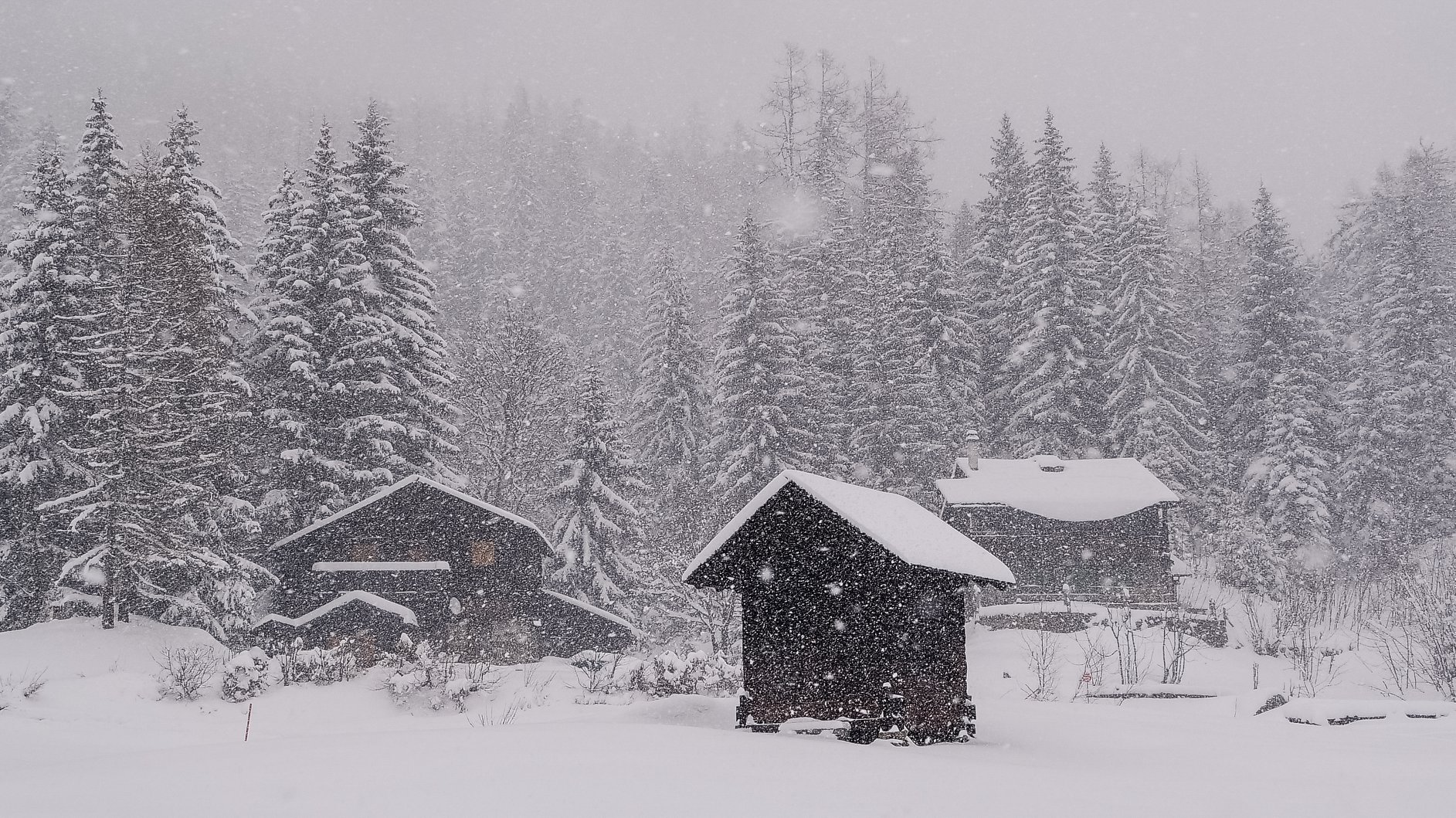 Major Snowstorm Hits the Alps - InTheSnow