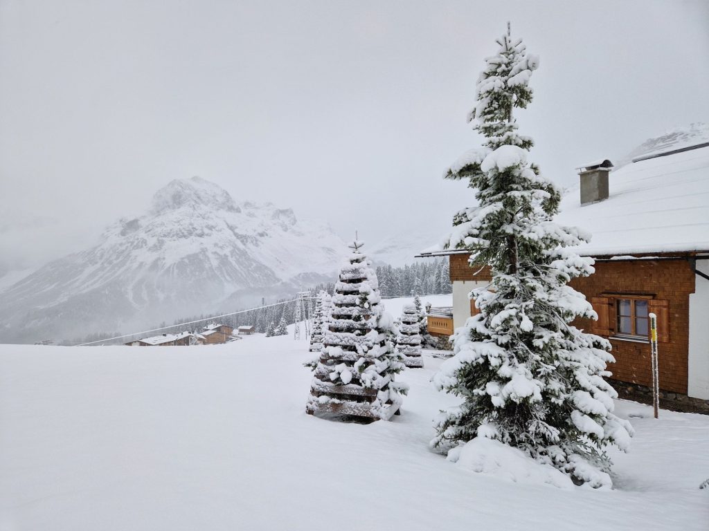 Snow Falling in the Alps - InTheSnow
