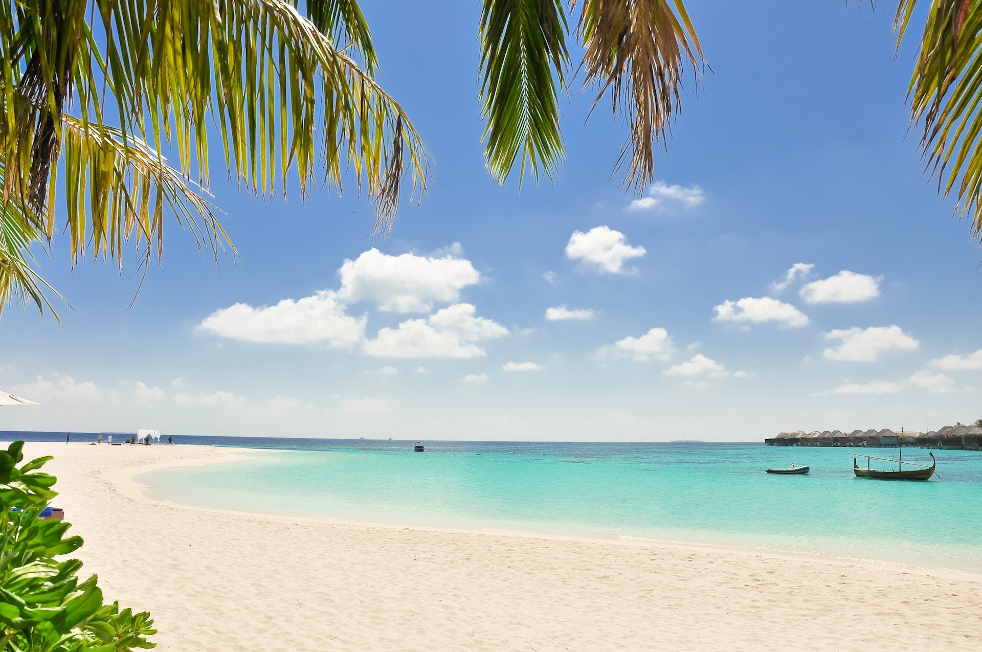 Snow In The Caribbean - InTheSnow