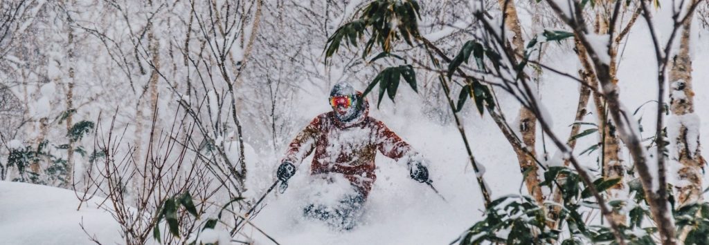 Tree Skiing - InTheSnow