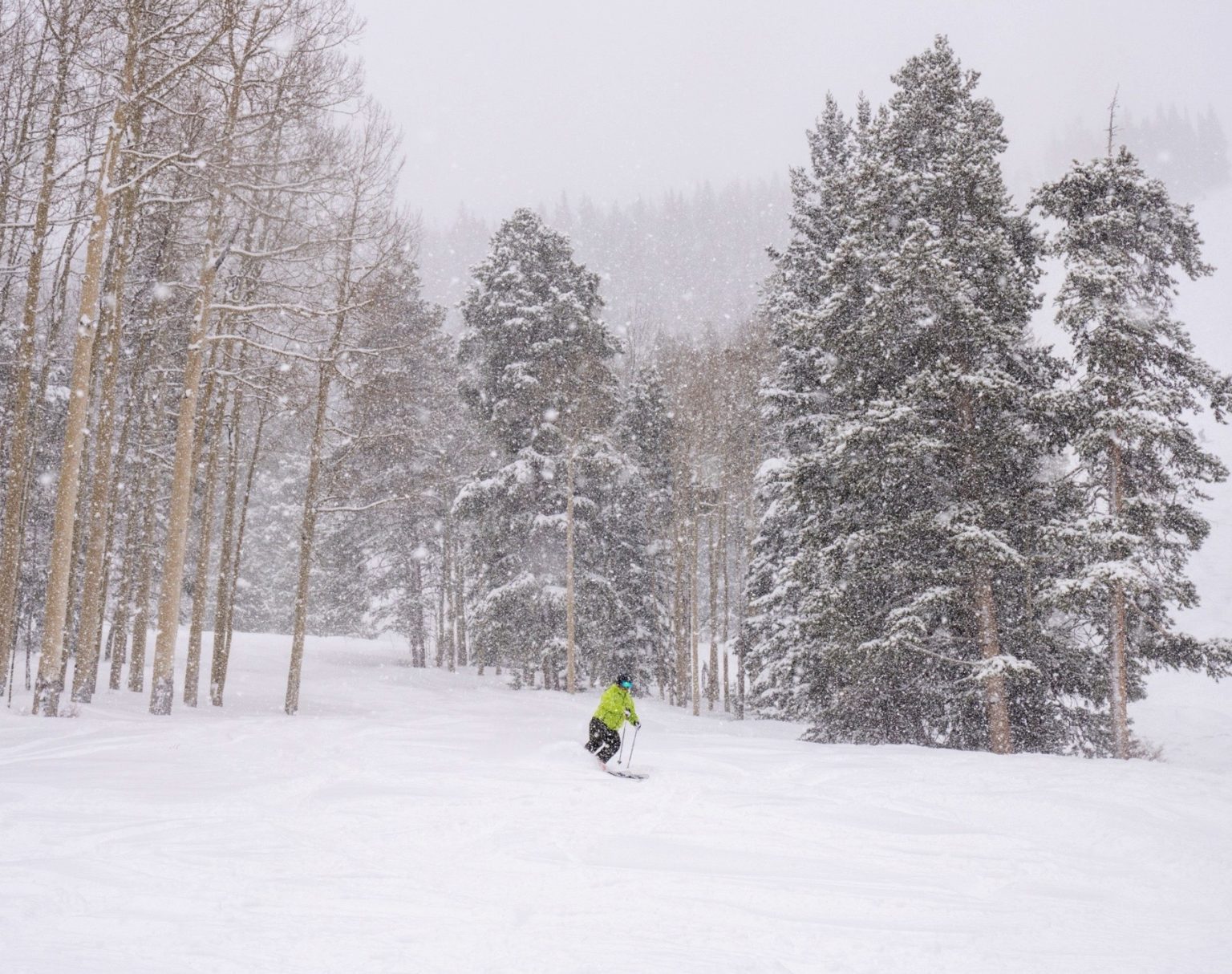 Tree Skiing - InTheSnow