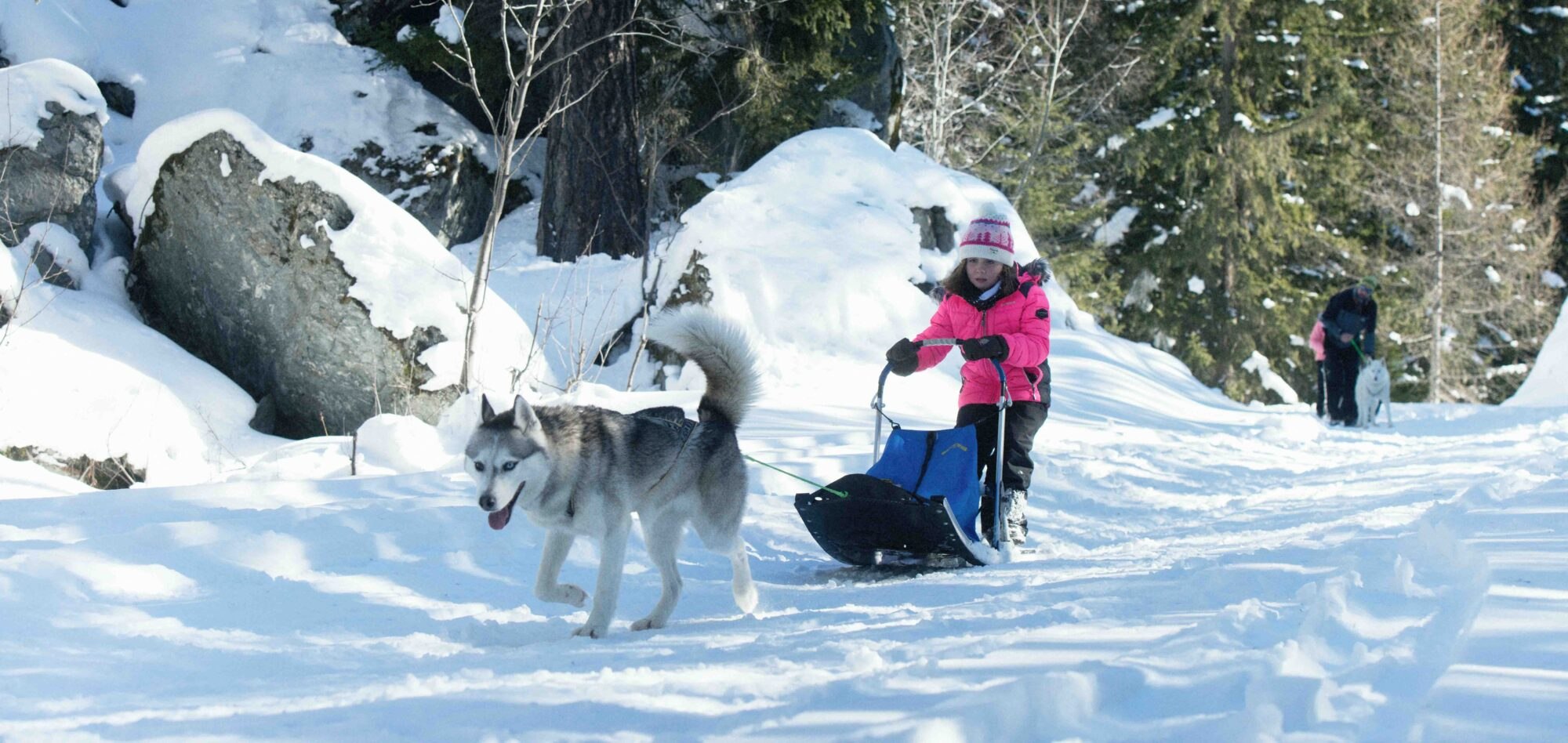 First Steps in Mushing - InTheSnow